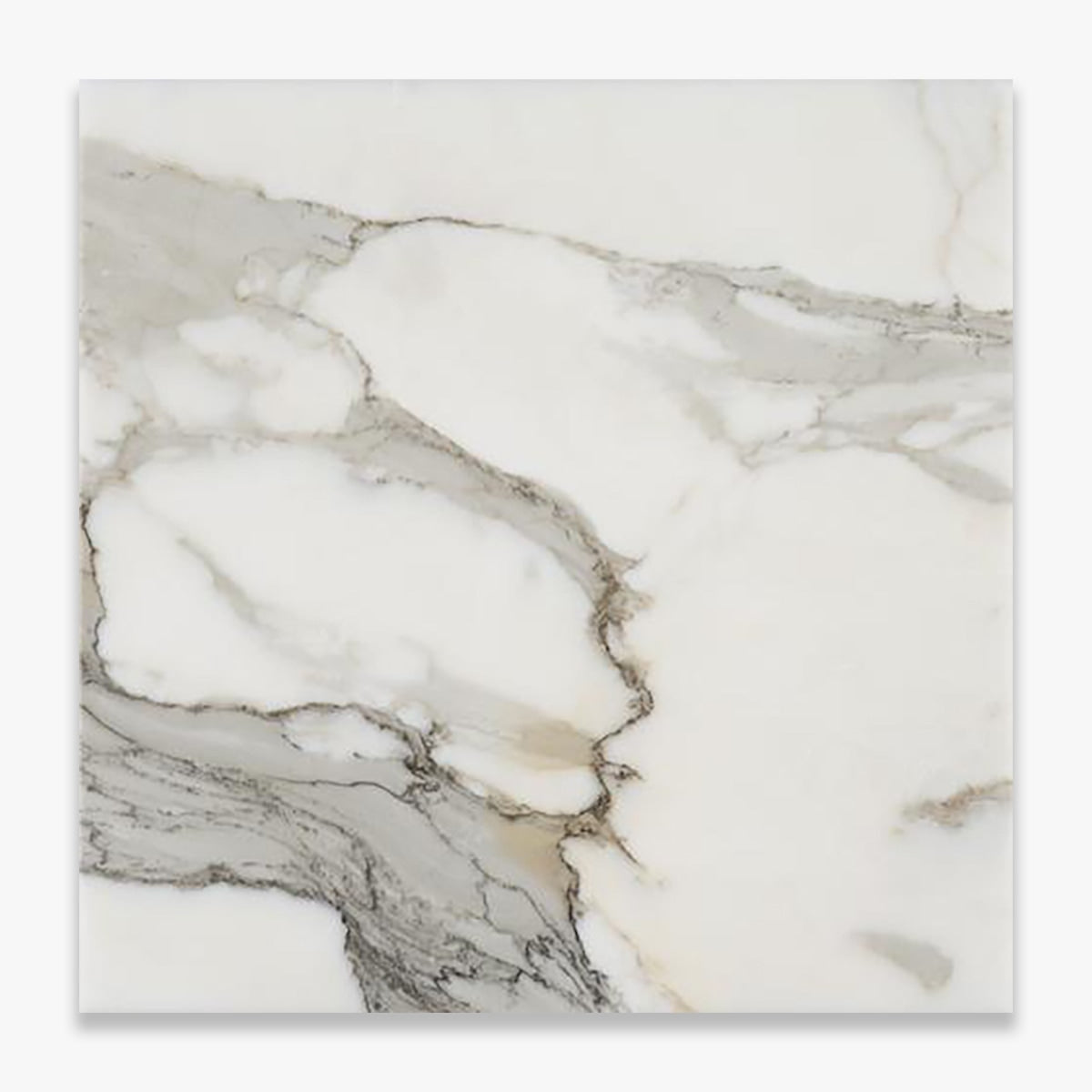 Calacatta Gold Polished 12x12 Marble Tile – Calacatta Tile