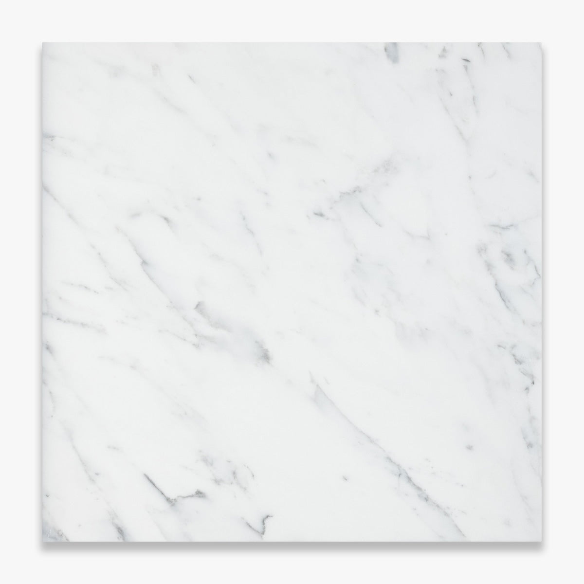 Statuary White Honed 18x18 Marble Tile – Calacatta Tile