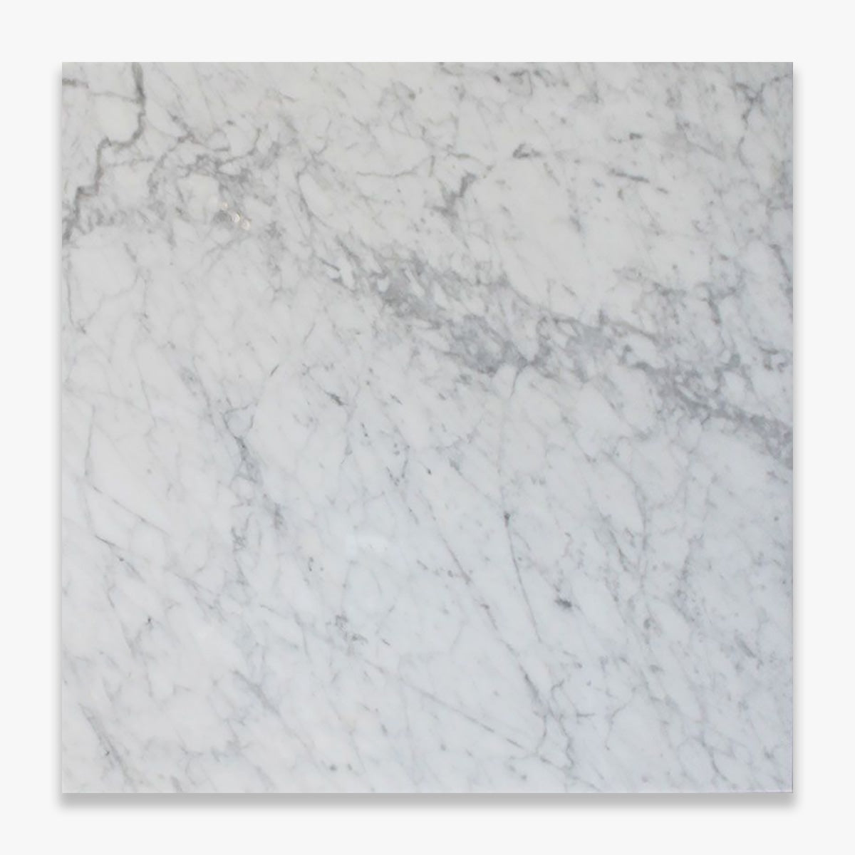 Carrara White Polished 6x12 Marble Tile – Calacatta Tile